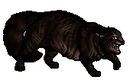 Tigerstar (TPB) | Warriors Wiki | Fandom