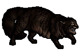 Tigerstar (TPB) | Warriors Wiki | Fandom