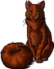 ThunderClan | Warriors Wiki | Fandom
