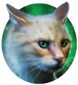 Pebbleshine | Warriors Wiki | Fandom