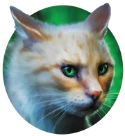 SkyClan's journey to find the Clans | Warriors Wiki | Fandom