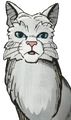 Cloudtail | Warriors Wiki | Fandom