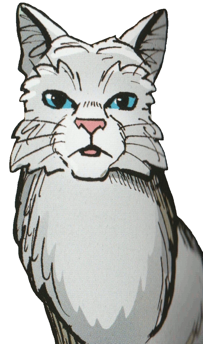 Cloudtail | Warriors Wiki | Fandom