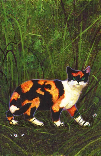 Tawnypelt | Warriors Wiki | Fandom