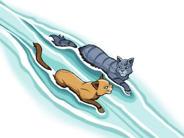 Warrior Cats Riverclan