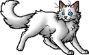 Snowfur | Warriors Wiki | Fandom