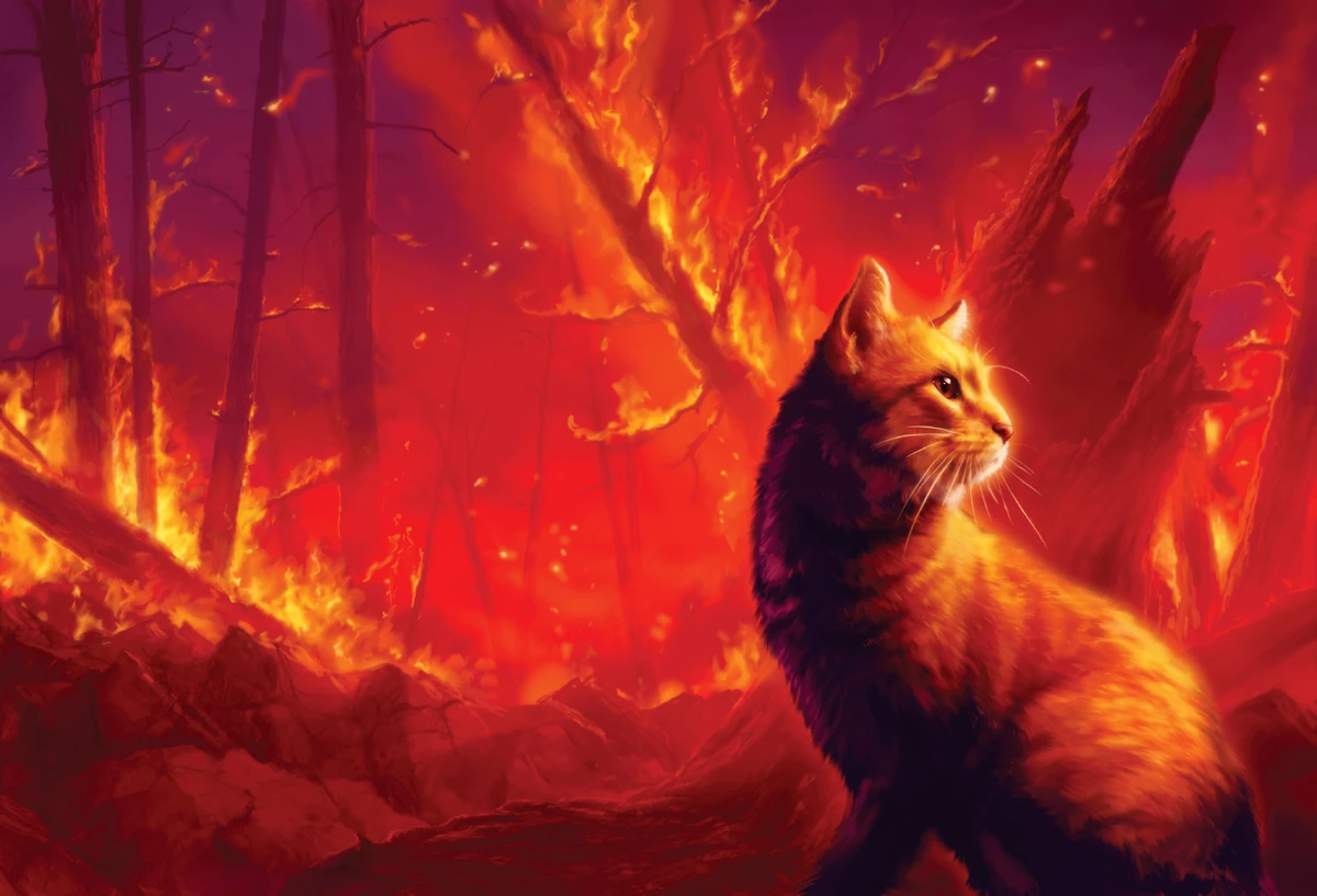 Fire (TR) | Warriors Wiki | Fandom