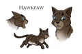 Hawkfrost | Warriors Wiki | Fandom
