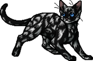 Warrior Cats Poppycloud