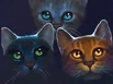 Lionblaze | Warriors Wiki | Fandom