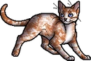 Nettlespot | Warriors Wiki | Fandom