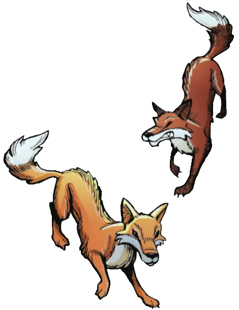 Fox (creature) | Warriors Wiki | Fandom