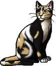 Dappletail | Warriors Wiki | Fandom