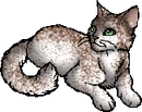 Pebbleshine | Warriors Wiki | Fandom