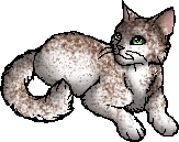 Pebbleshine | Warriors Wiki | Fandom