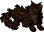 Raggedstar | Warriors Wiki | Fandom