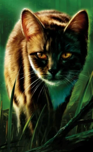 Sunbeam | Warriors Wiki | Fandom