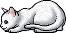 Featherkit (Website) | Warriors Wiki | Fandom