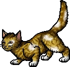 Warriors Wiki talk:Charart/Accepted 169 | Warriors Wiki | Fandom