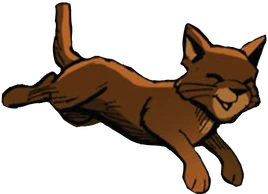 Shrewpaw (TC) | Warriors Wiki | Fandom
