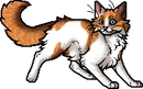 Brightheart | Warriors Wiki | Fandom