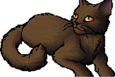 littlecloud warriors