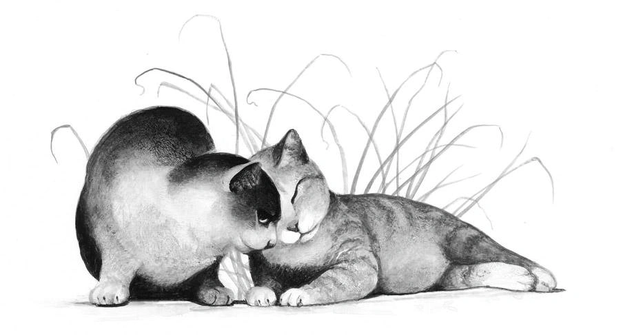 Code of the Clans/Code 7 | Warriors Wiki | Fandom