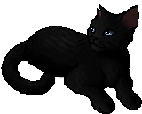Jackdaw's Cry | Warriors Wiki | Fandom