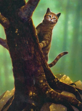 Leafstar | Warriors Wiki | Fandom
