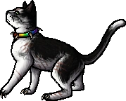 Bone | Warriors Wiki | Fandom