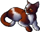 Cherrypaw (Website) | Warriors Wiki | Fandom