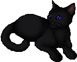 Darkflower | Warriors Wiki | Fandom