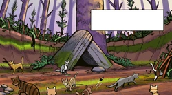 ShadowClan | Warriors Wiki | Fandom