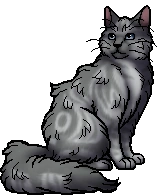 Silverhawk | Warriors Wiki | Fandom