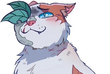 warrior cats badger attack