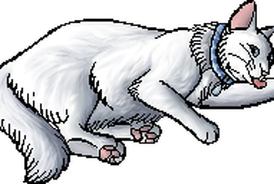 bloomkit warrior cats