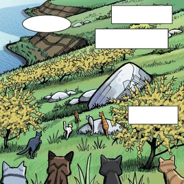 WindClan | Warriors Wiki | Fandom