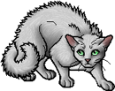 Needletail | Warriors Wiki | Fandom