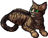 Runningwind | Warriors Wiki | Fandom