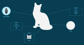 Warrior Cats website | Warriors Wiki | Fandom