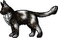 Sol | Warriors Wiki | Fandom