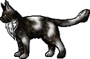 Sol | Warriors Wiki | Fandom