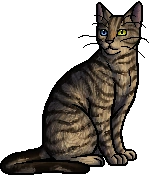 Reedclaw | Warriors Wiki | Fandom