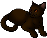 Shrewpaw (TC) | Warriors Wiki | Fandom
