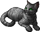 Brindleface | Warriors Wiki | Fandom