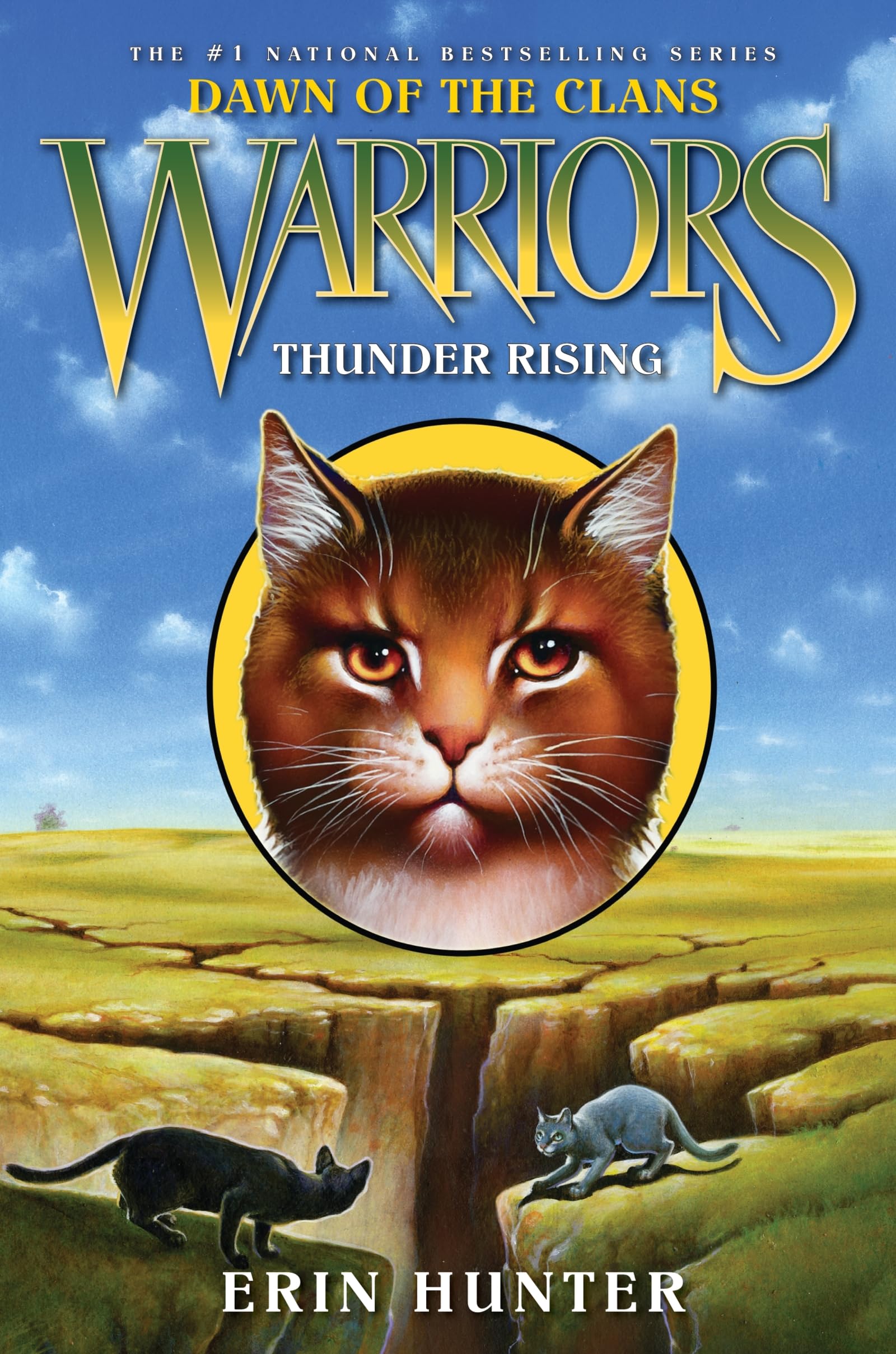 Category:Thunder Rising | Warriors Wiki | Fandom