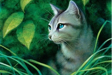 Warrior Cats Tigerclaw's Exile