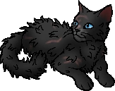 Skywatcher | Warriors Wiki | Fandom