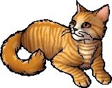 Lioneye | Warriors Wiki | Fandom