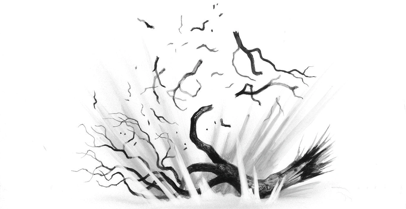 Code of the Clans/Code 2 | Warriors Wiki | Fandom